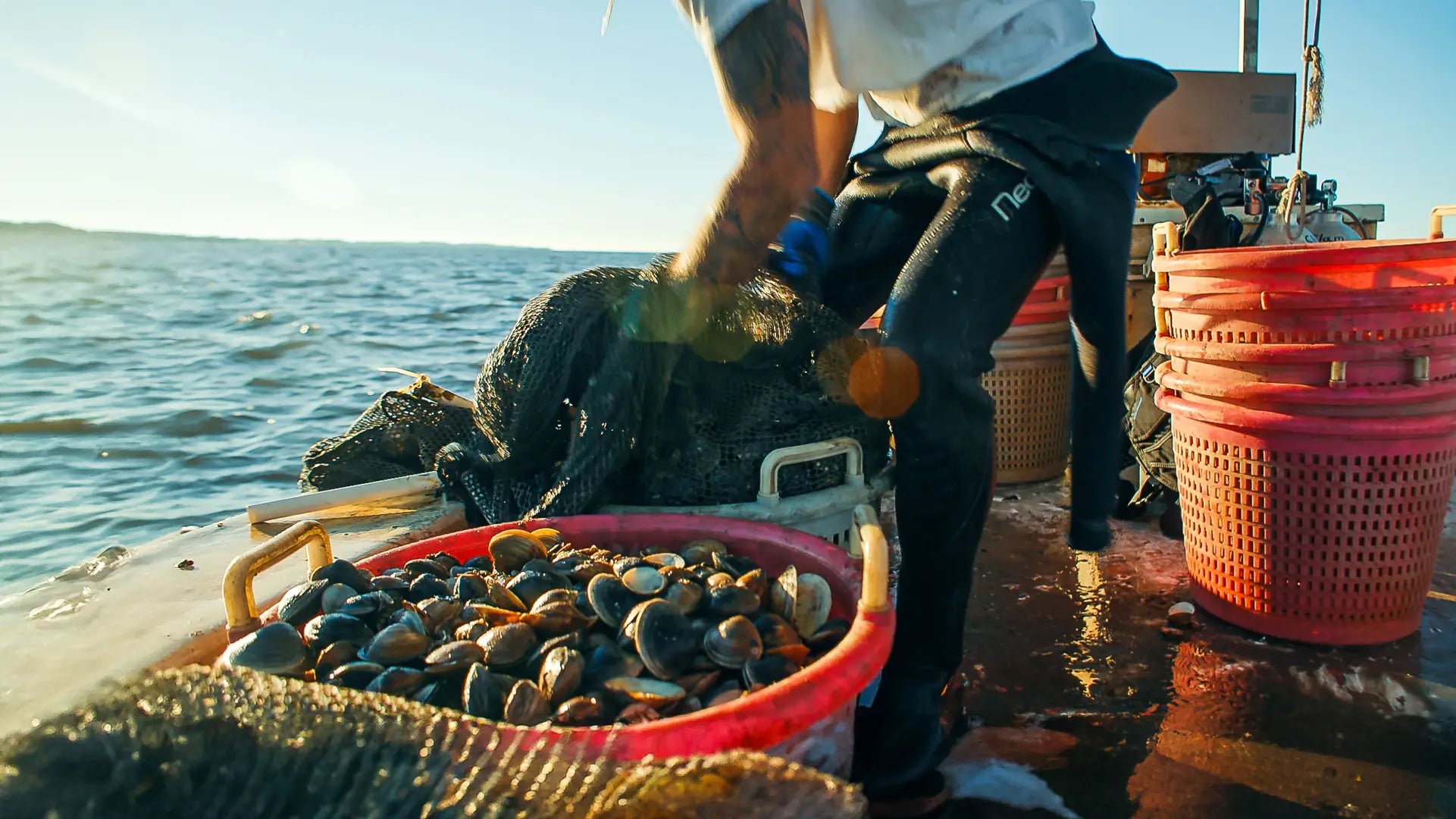 Cedar Key | B&W Trailer Hitches