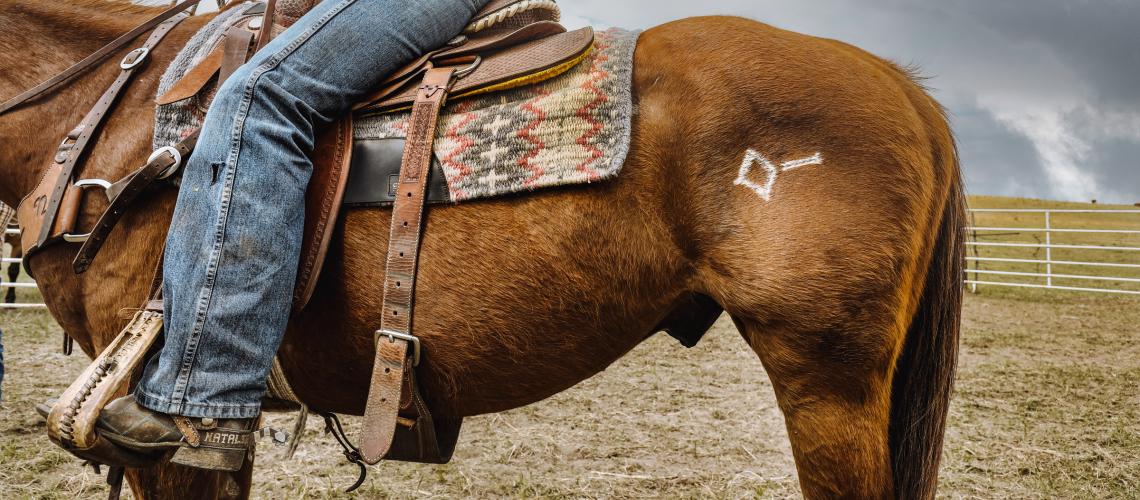 A Ranching Legacy | B&W Trailer Hitches