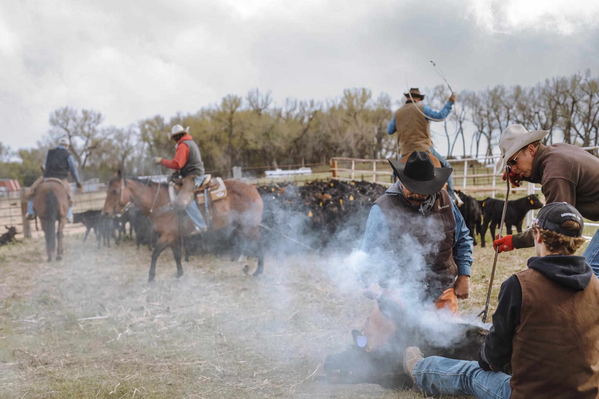 A Ranching Legacy | B&W Trailer Hitches